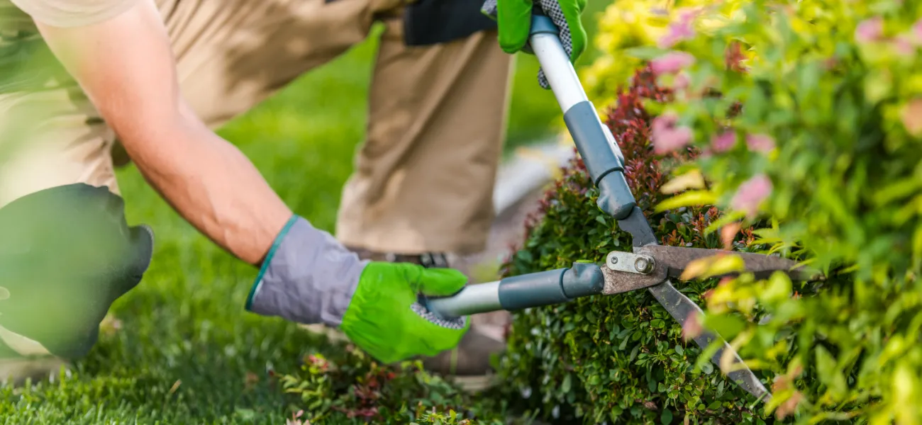 Get in Touch with Grassworks Landscaping - Professional Landscaping ...